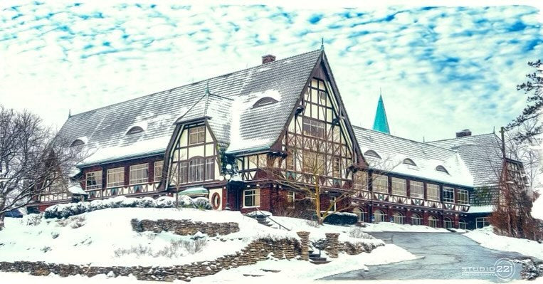 Guild Mechanical Watch Gold PVD – Cincinnati Watch Company